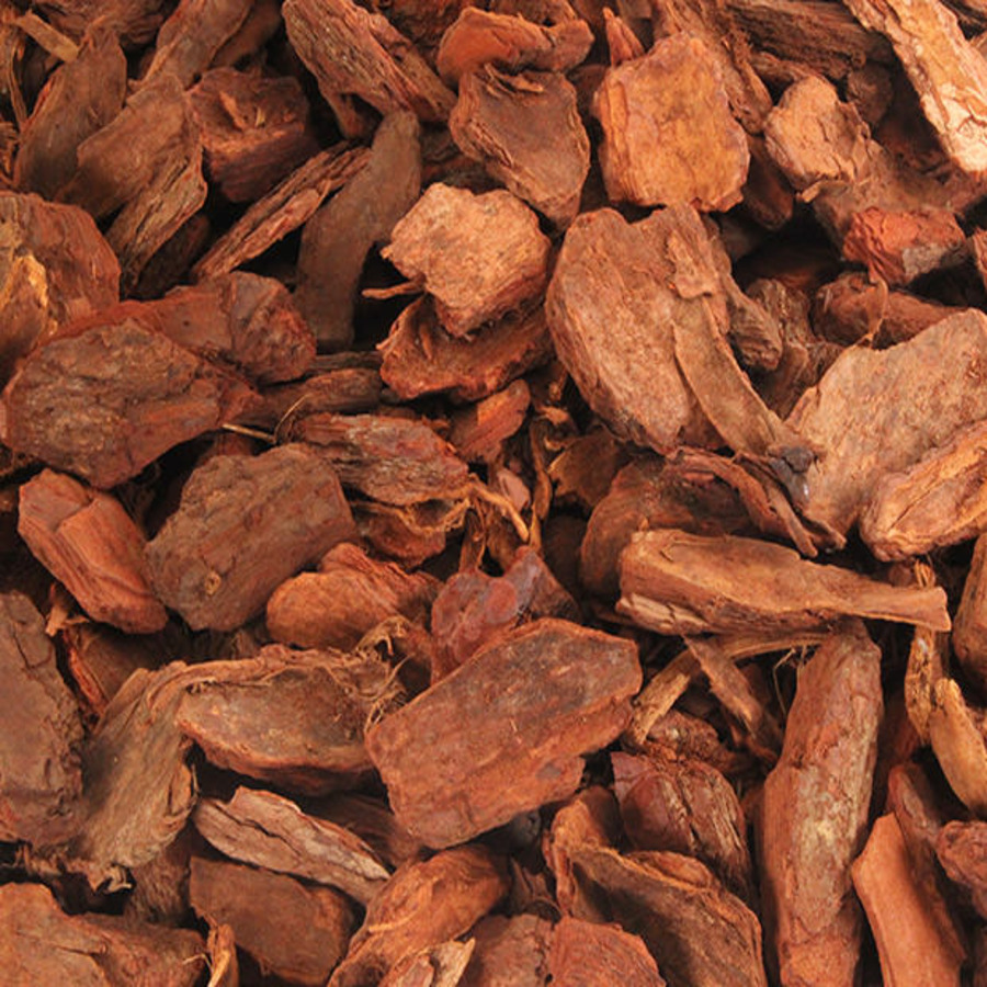 Pinus Maritima 45/80 Franse sierschors Online Bestellen / Kopen ...